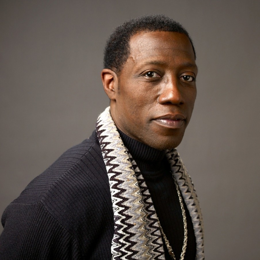 Wesley Snipes | Actors Are Idiots